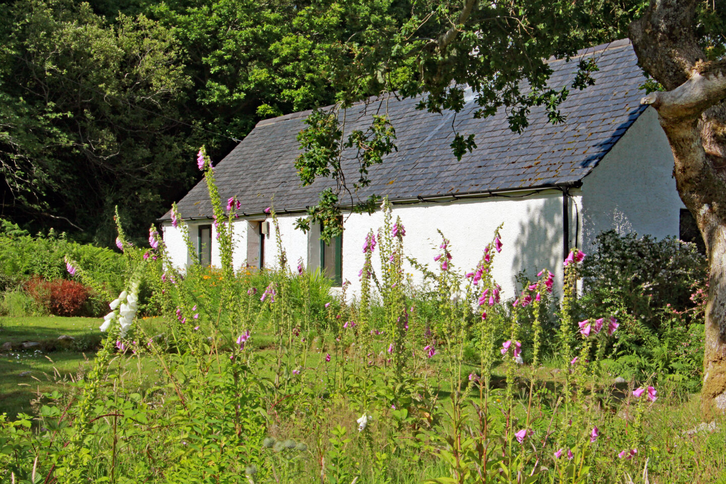 About Aird Cottage Badachro | Holiday Cottage For Rent